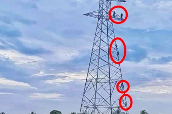 Tower Milik PLN di Inhil Dipanjat Untuk Berfoto dan Popularitas ...